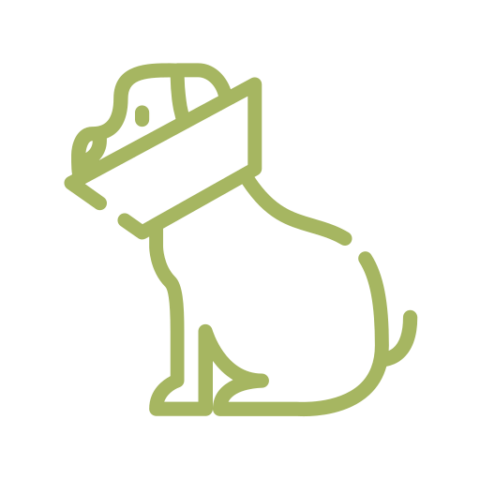 Best Vet Hospital In Murphy, TX | Murphy Veterinary Hospital