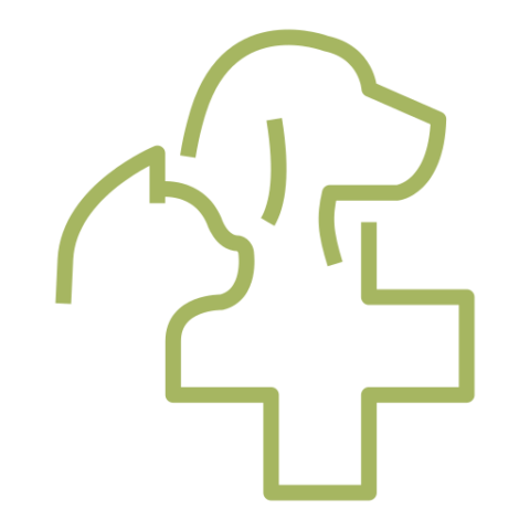 Best Vet Hospital In Murphy, TX | Murphy Veterinary Hospital