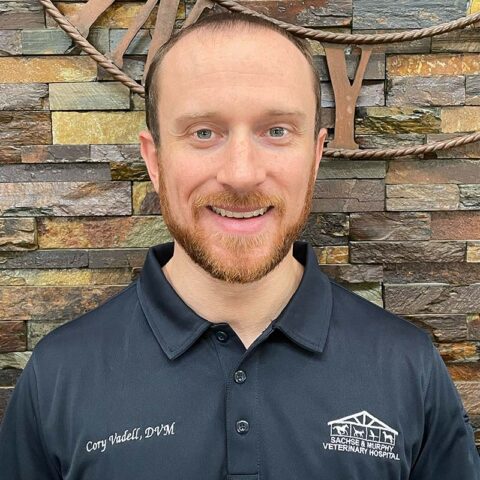 Veterinarian In Murphy, TX 75094 | Murphy Veterinary Hospital